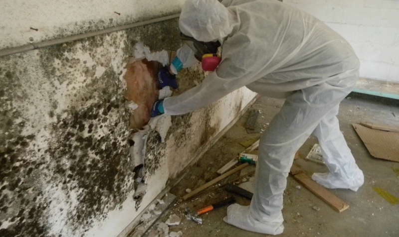 Mould Remediation & Restoration Services Limited